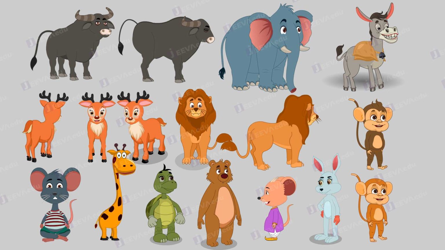 Animal Cartoon Characters JACCO1 (Adobe Animate Cartoon Character ...