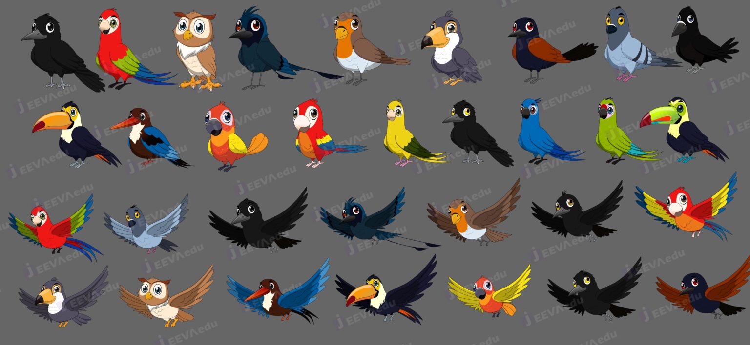 Birds Characters JBC01 (Adobe Animate Cartoon Birds Characters Vector ...